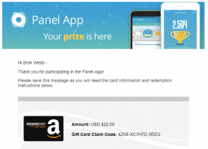 Panel App Review: Scam Or Does It Really Work? - Full Time Job From Home