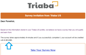 Triaba Survey Review: Scam or Legitimate Way To Earn? - Full Time Job ...